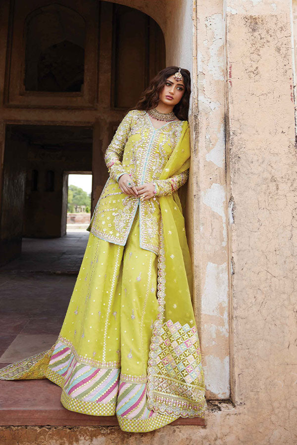 Qalamkar Shadmani Luxury Formal's`24 SH#05 DANIA – Tradition Stores