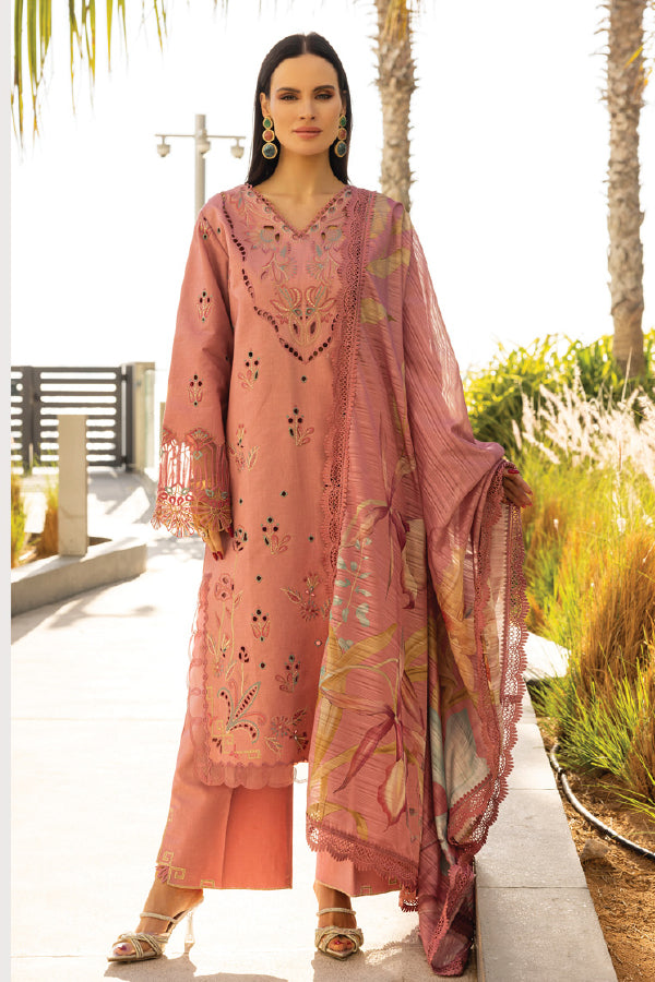 Rang Rasiya Carnation Summer Edit 2025 D-09 – Tradition Stores